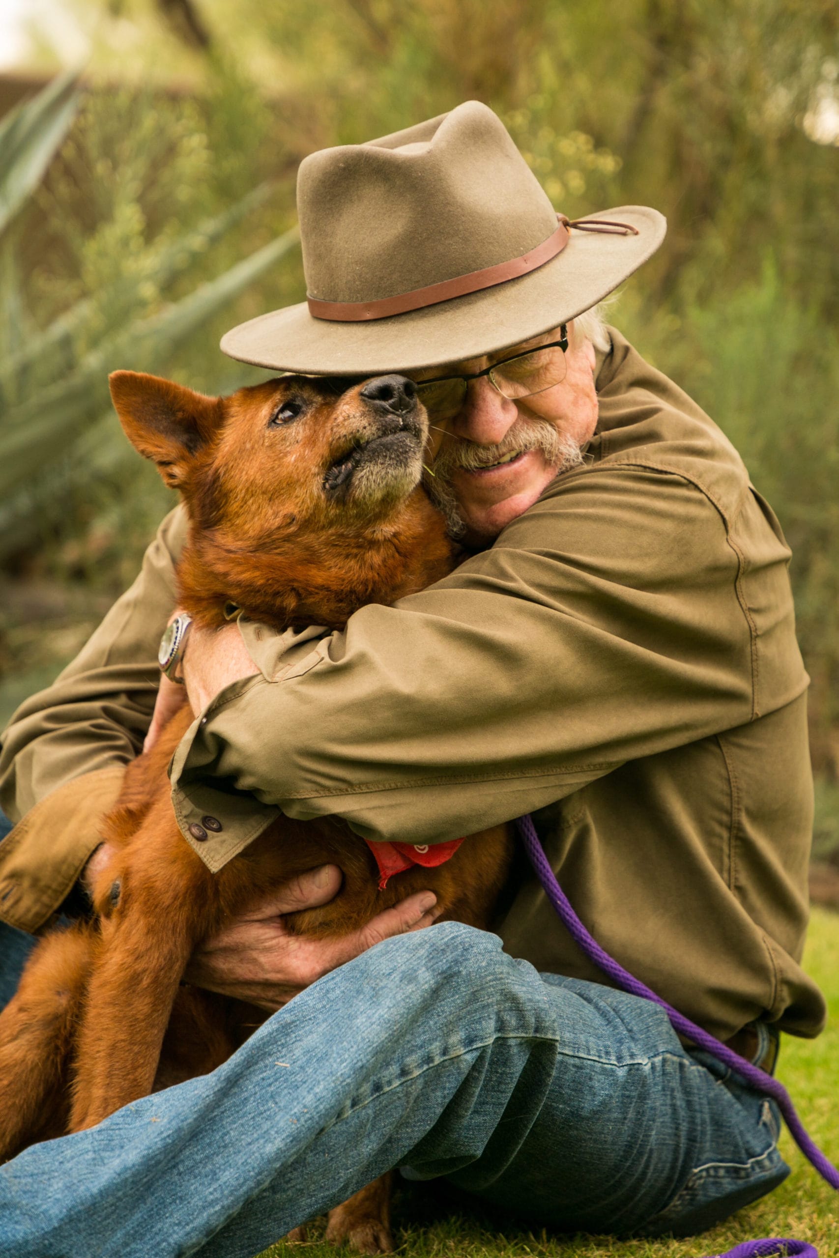 Center focuses on maintaining pet-owner unity through respite, training ...