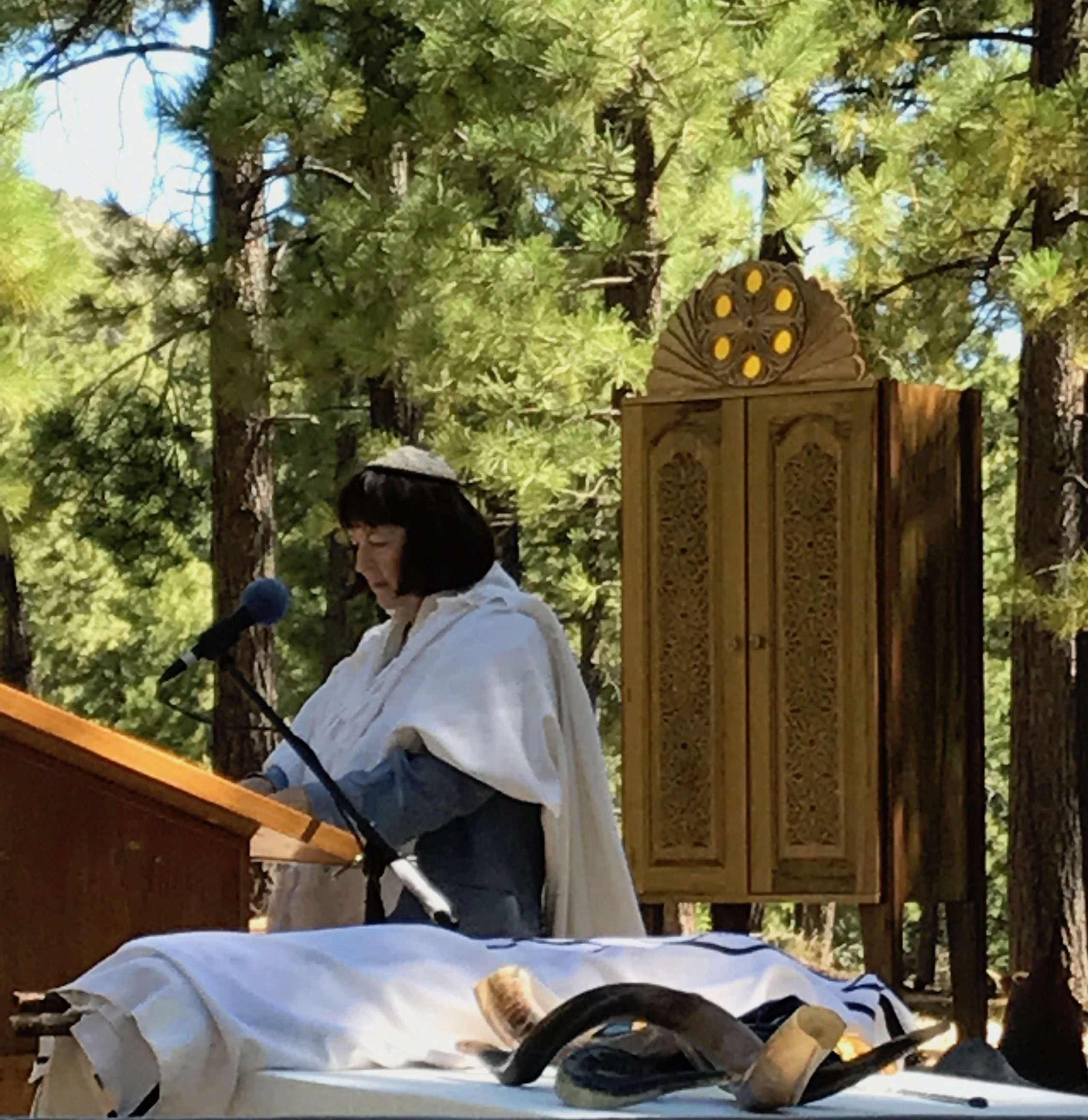 With traveling ark, Chaverim carries Torah’s message of peace | AZ ...