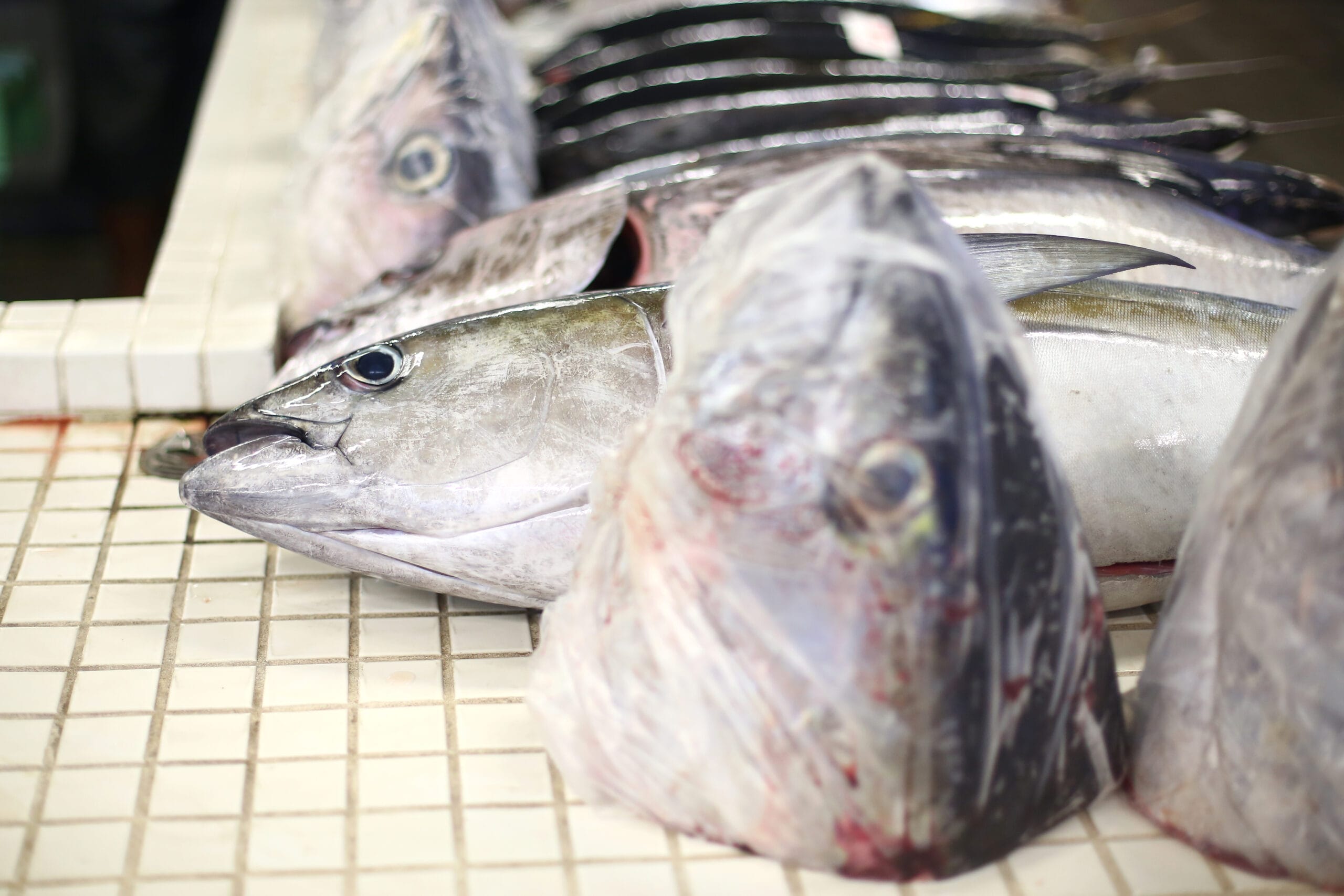 HIGH HOLIDAYS FEATURE A Sephardic seder, of sorts, for Rosh Hashanah ...