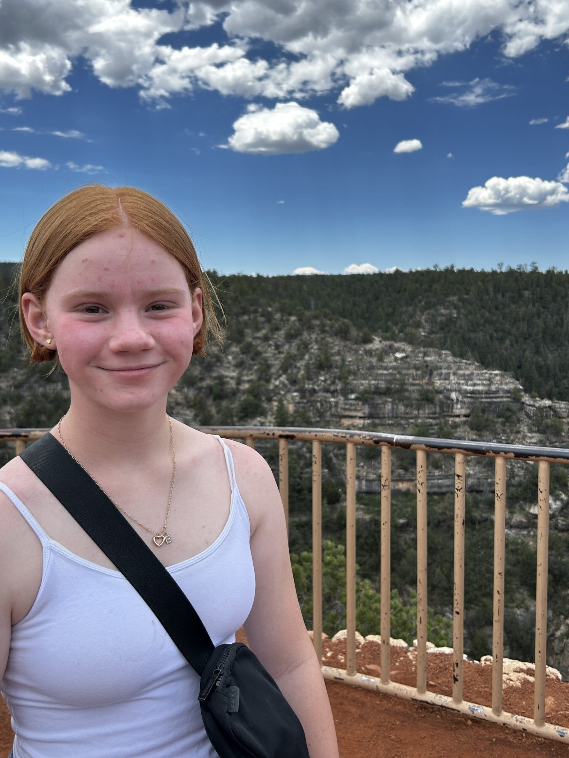Bat Mitzvah: Liora Lee Abrams Dunn | AZ Jewish Post